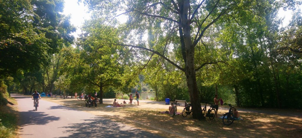 Mainwiesen Sanderau: „Bis nachts um 2 Geschrei und Gegröle“ - wob ...